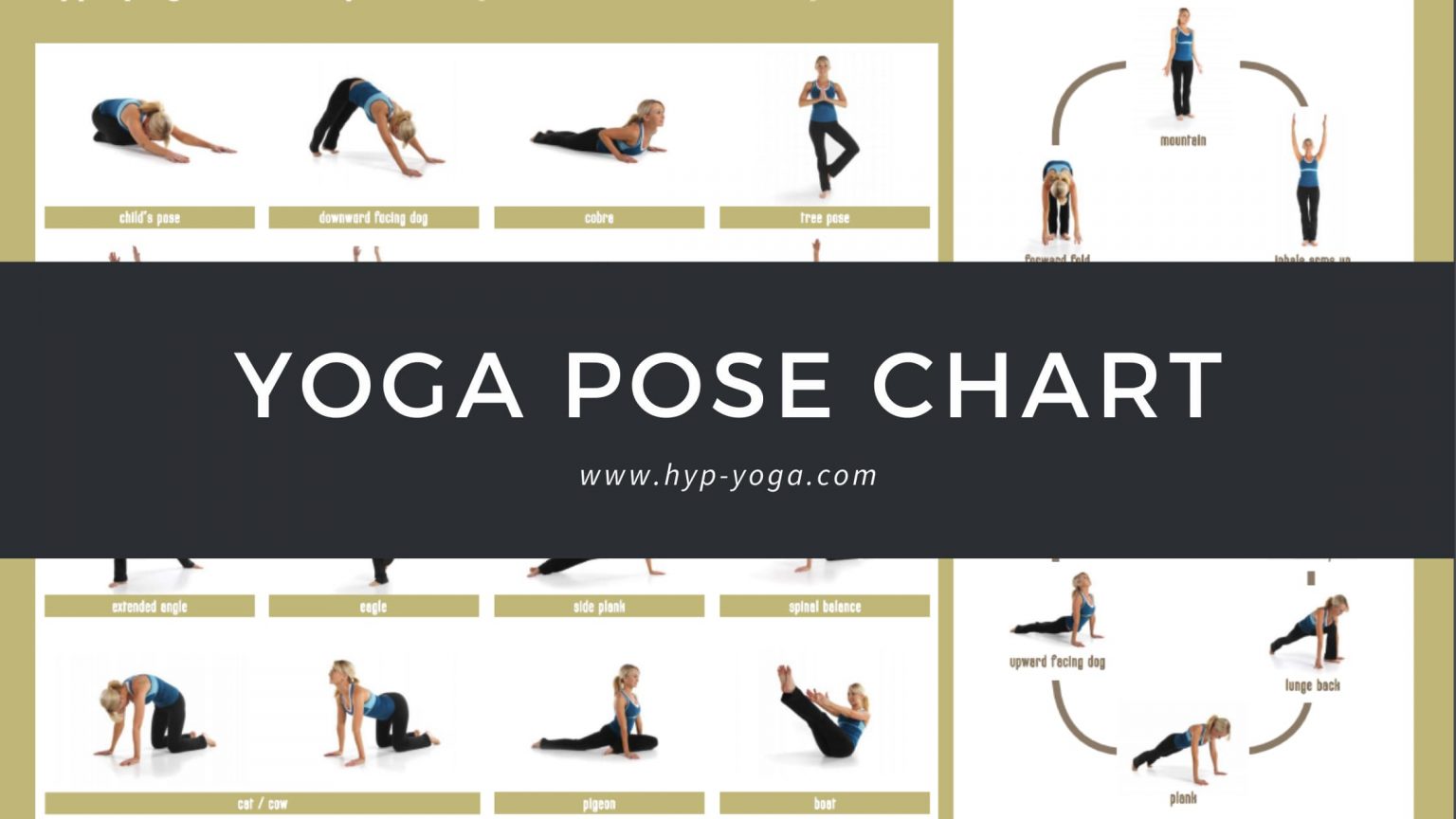 Yoga Pose Chart: A Visual Guide Including Sun Salutations